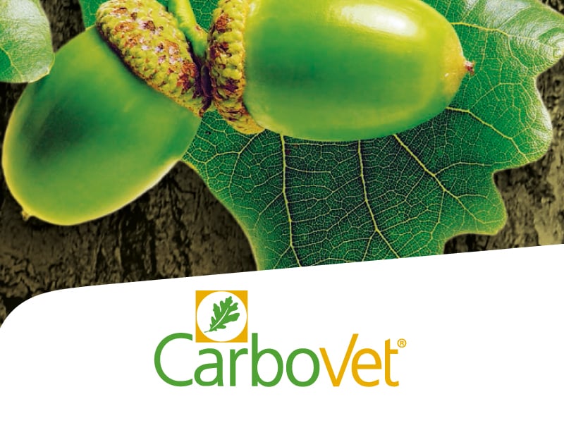 Carbovet® | Pancosma
