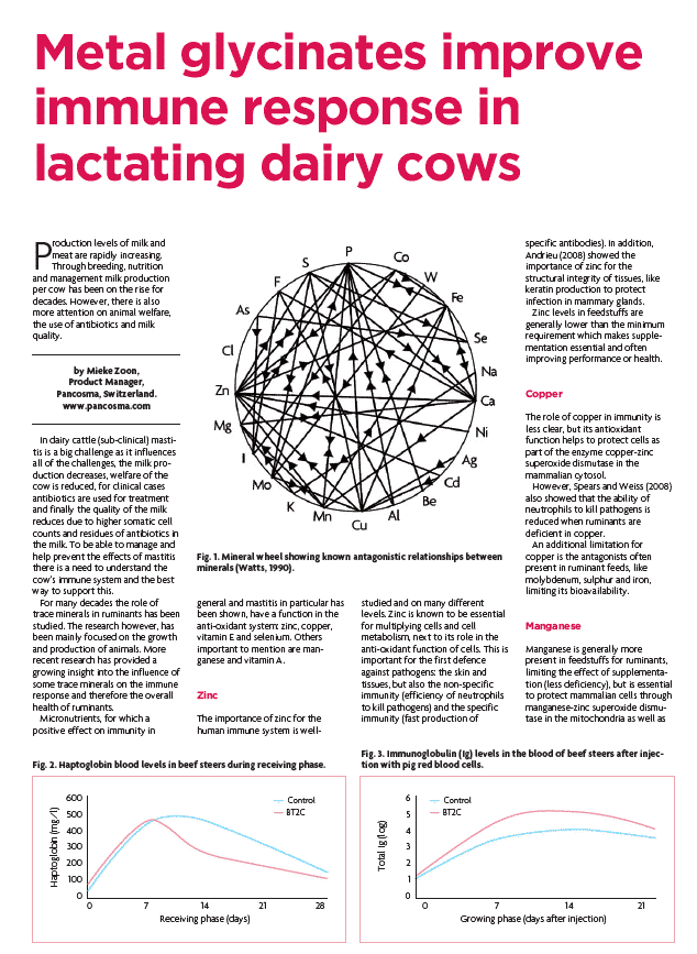 Metal glycinates improve lactating dairy cow's immune system | Pancosma
