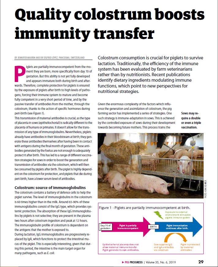 Quality colostrum boosts immunity transfer I Pancosma