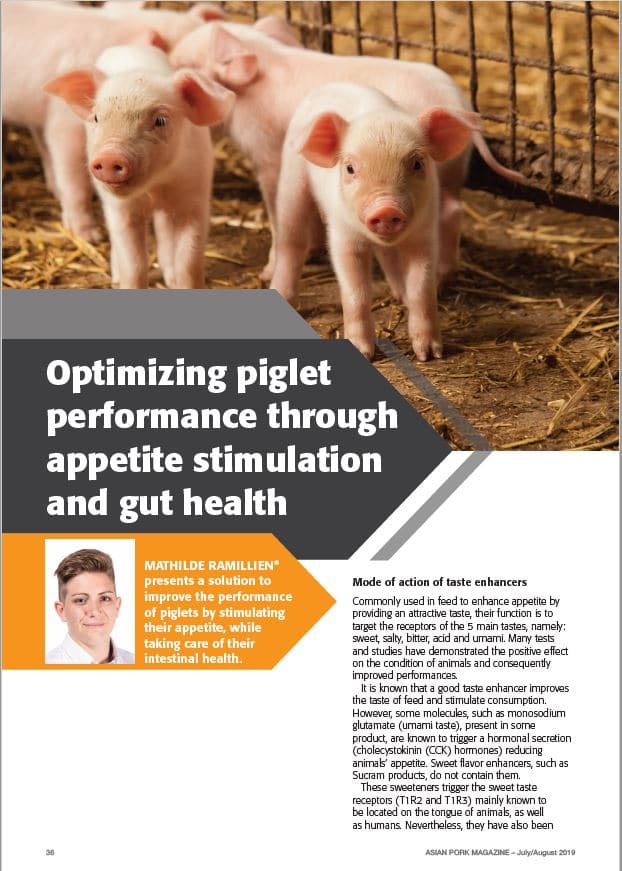 Optimizing piglet performance through appetite stimulation & gut health