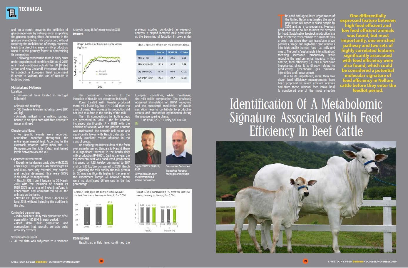 Improving the results of dairy cows through intestinal stimulation ...