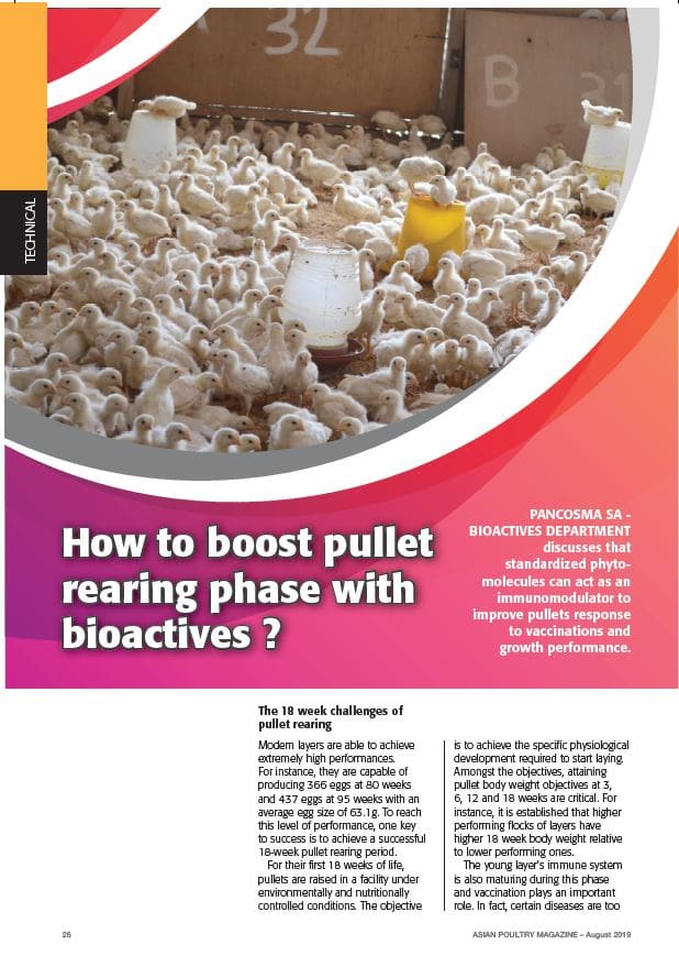 Boost pullet rearing phase with bioactives plant extracts
