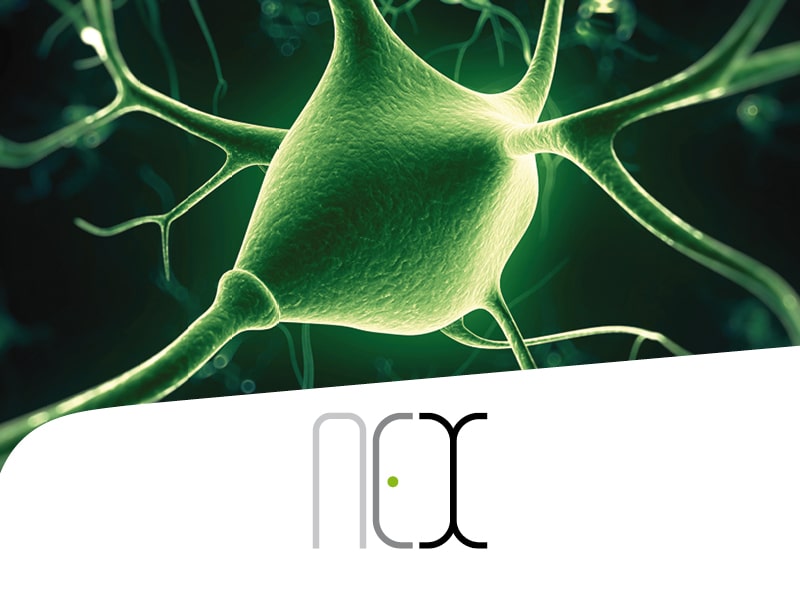 NEX - The NEX(T) generation of functional additives I Pancosma