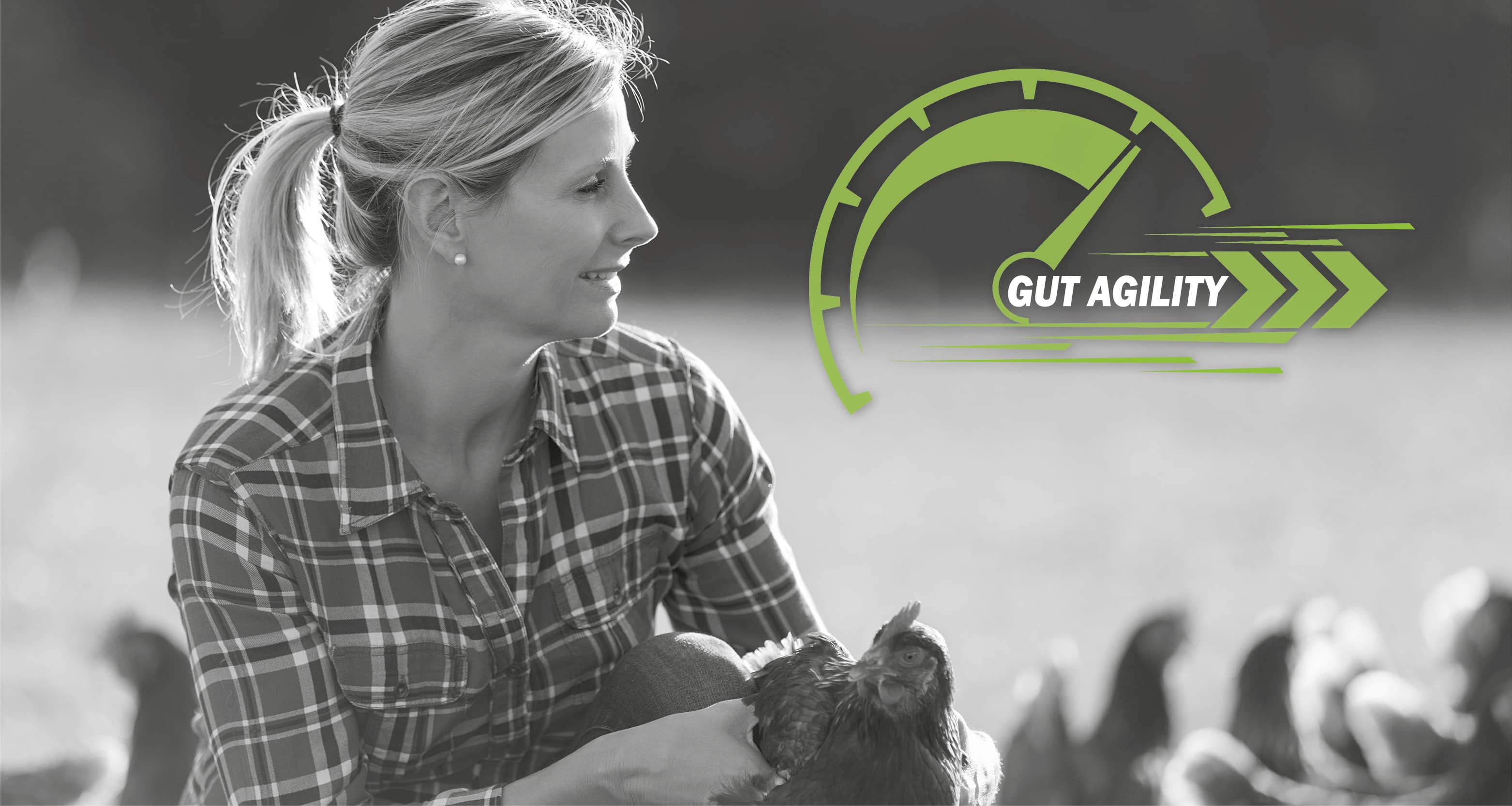 Resiliência para persistência de postura - Pancosma