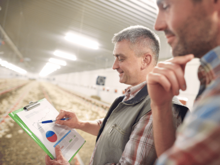 On-farm solutions for poultry - Pancosma